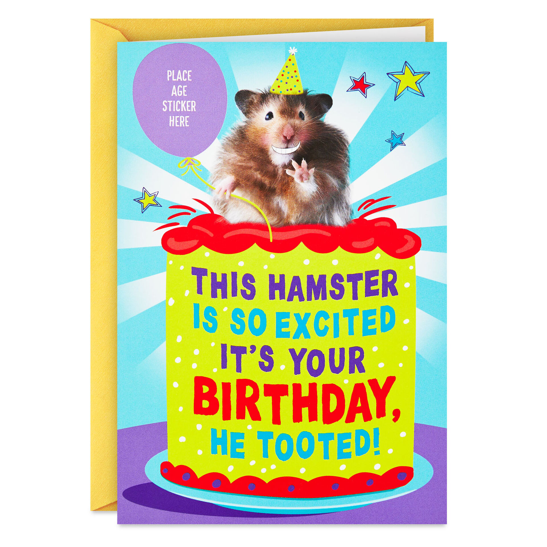 Hamster Customizable Kids Funny Birthday Card With Age Stickers ...