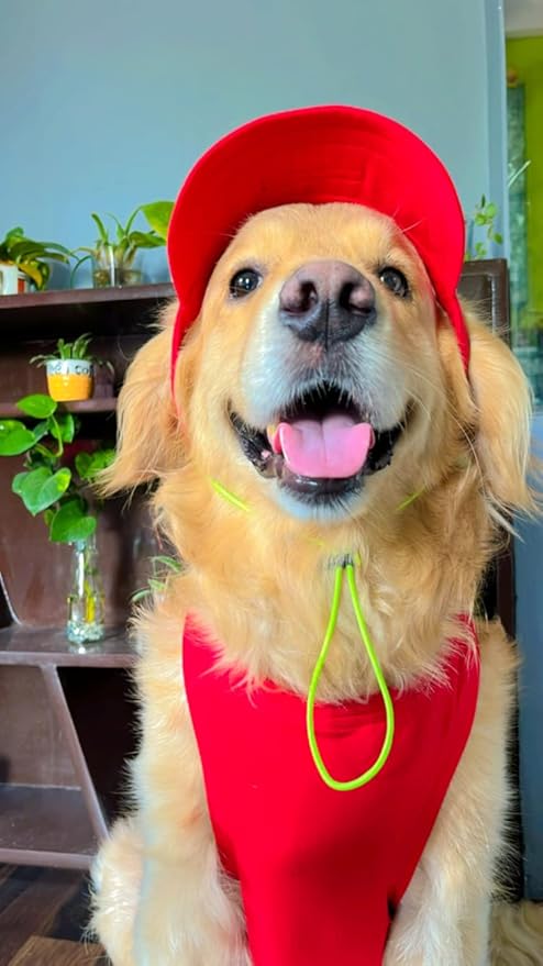 Red Baseball Cap (Large) – GonaKart International